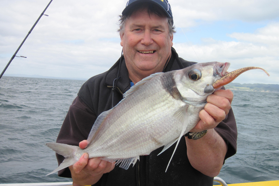 Bream Bay Fishing Report - 10/01/25 - The Fishing Website