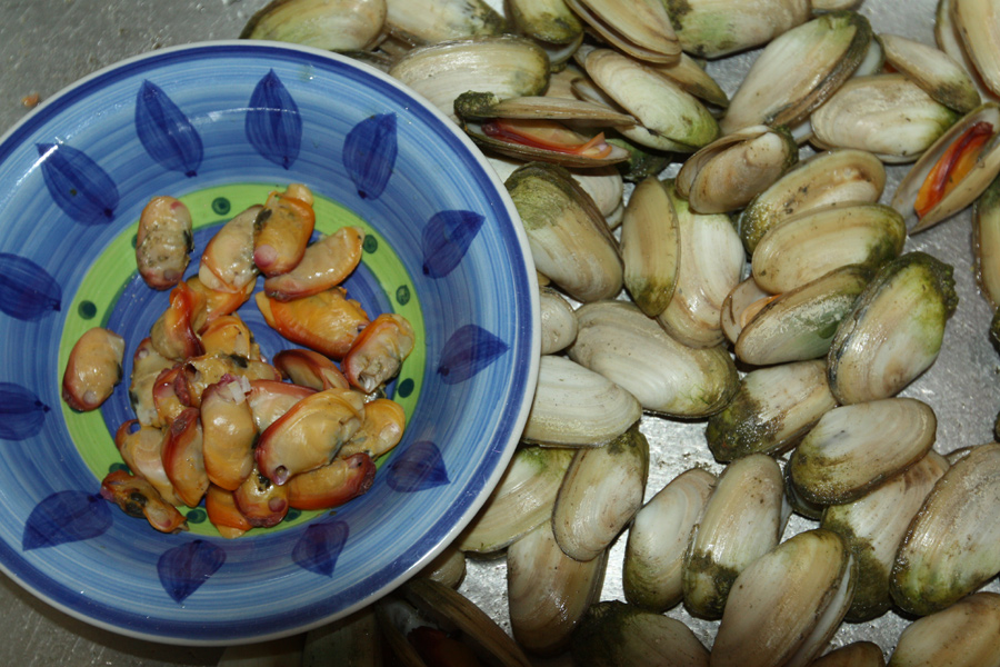 Bream Bay Fishing Report - 10/01/25 - The Fishing Website