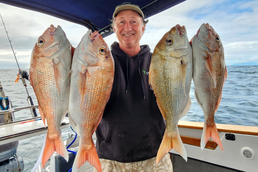 Bream Bay Fishing Report - 16/05/25 - The Fishing Website