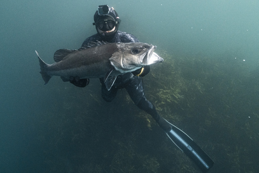 Subscribe and Win an Incredible Chatham Islands Adventure - The Fishing ...