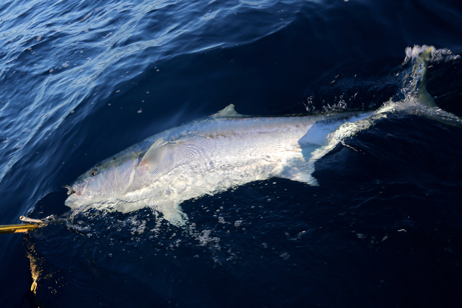 How to Win Fishing Competitions - The Fishing Website