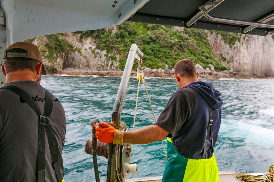 Preparing & Cooking Crayfish - The Fishing Website