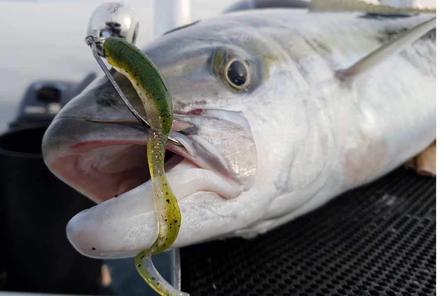 Fish Where the Fish Are - The Fishing Website