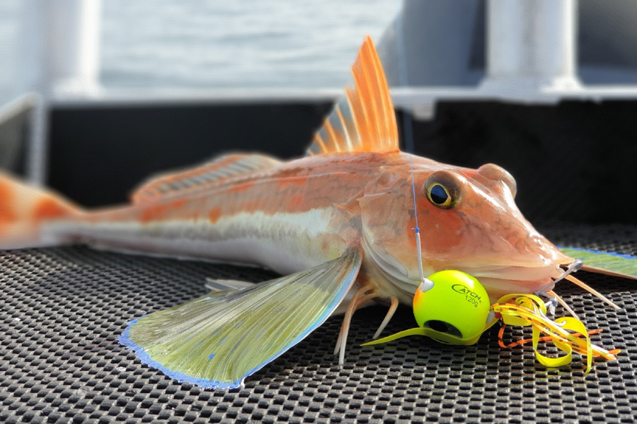 Fish Where the Fish Are - The Fishing Website