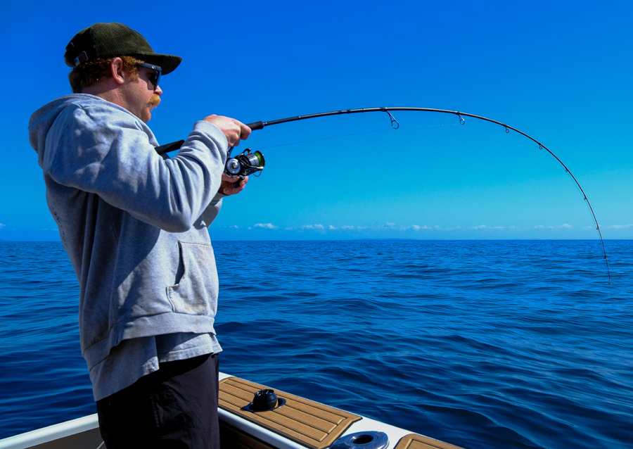 Fishbites: New Artificial Bait in Town - The Fishing Website