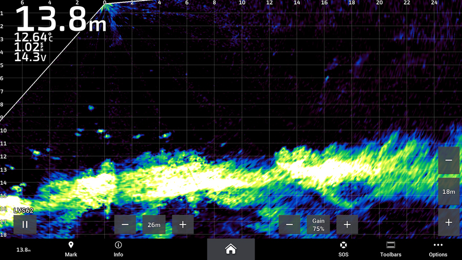 Garmin LiveScope XR: Seeing is Believing - The Fishing Website