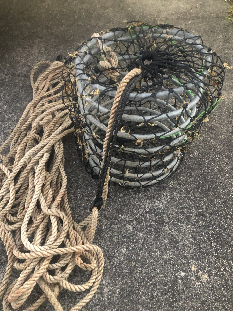 Straylining – The Basics - The Fishing Website