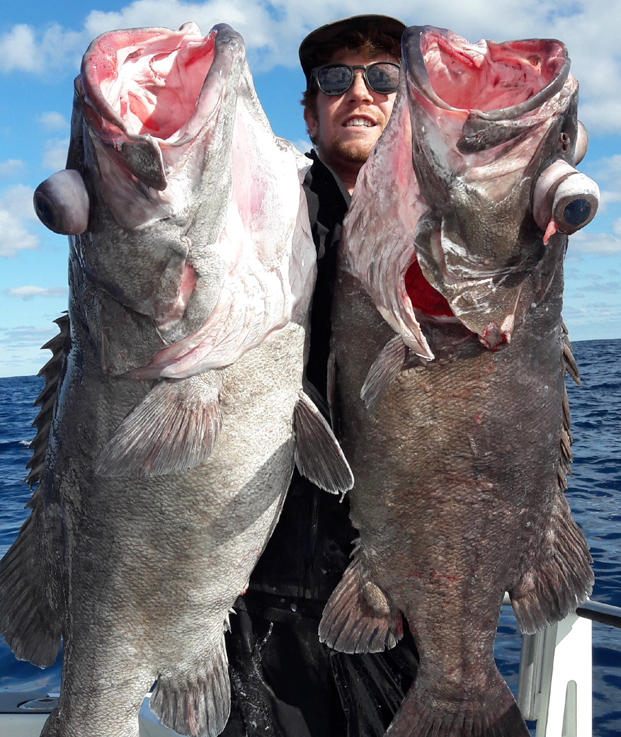 Ledger Rigs: Sometimes Simple is Best - The Fishing Website