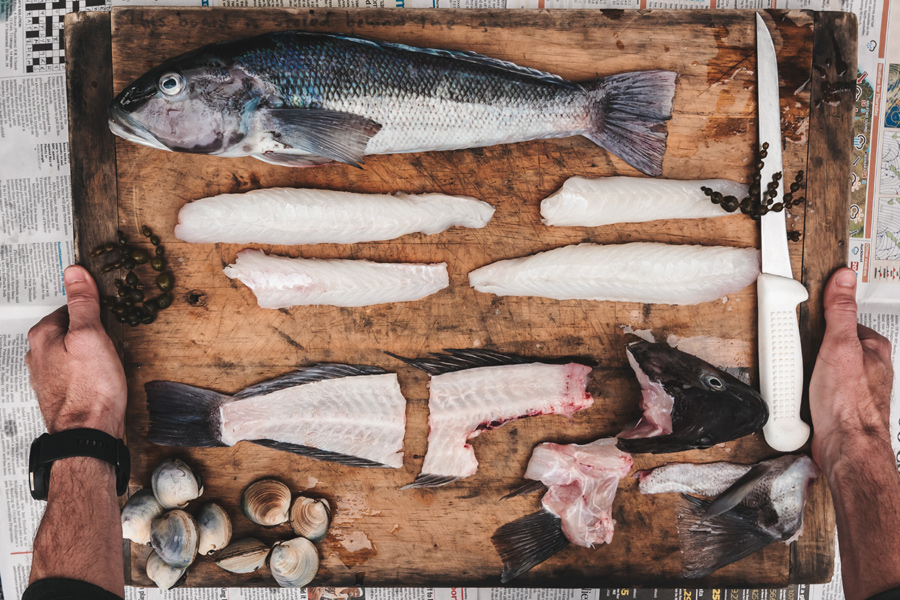 Marine Photo Competition - The Fishing Website