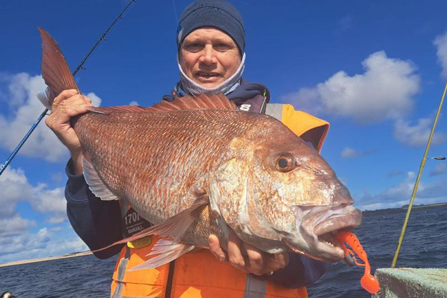 Halco Madeyes Softbaits Review - The Fishing Website