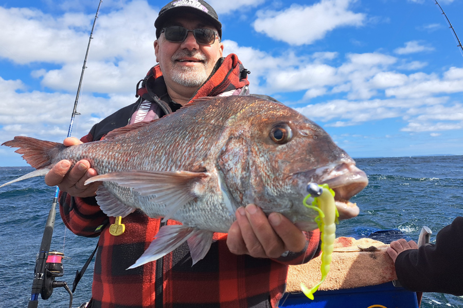 Halco Madeyes Softbaits Review - The Fishing Website