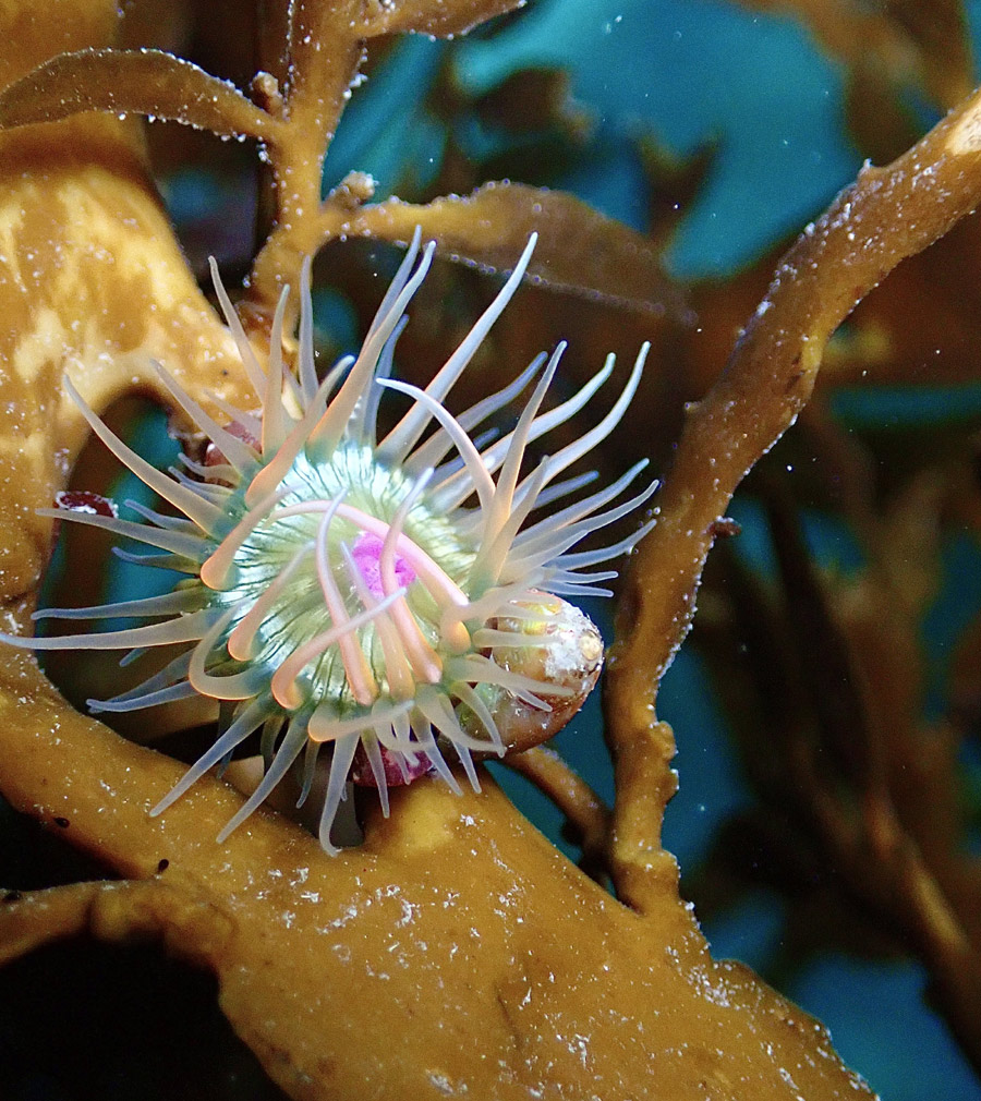 A Better Way to Manage Fisheries - The Fishing Website