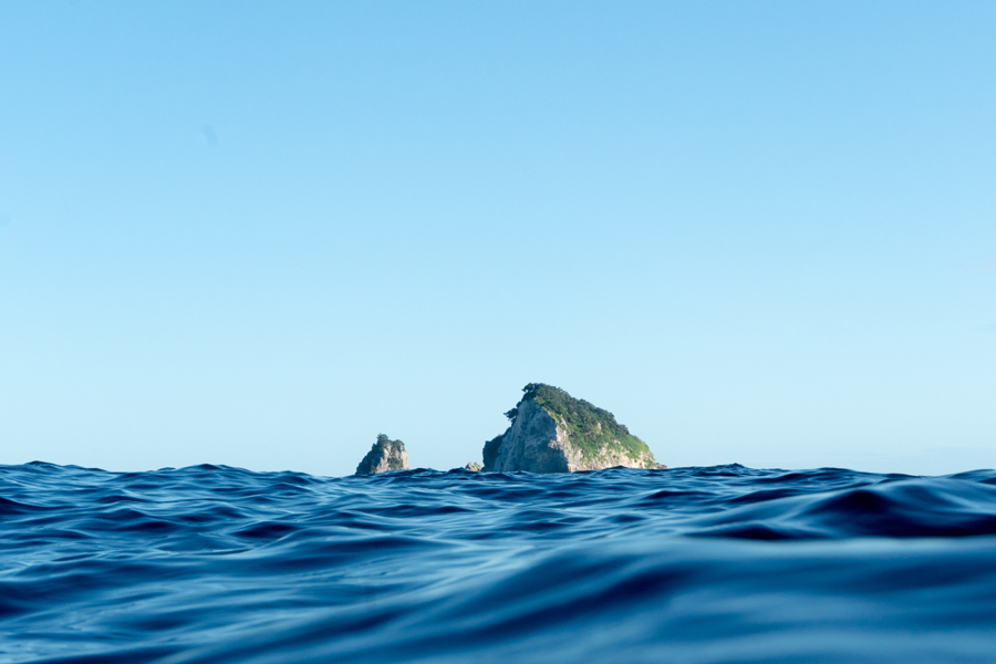 A Better Way to Manage Fisheries - The Fishing Website