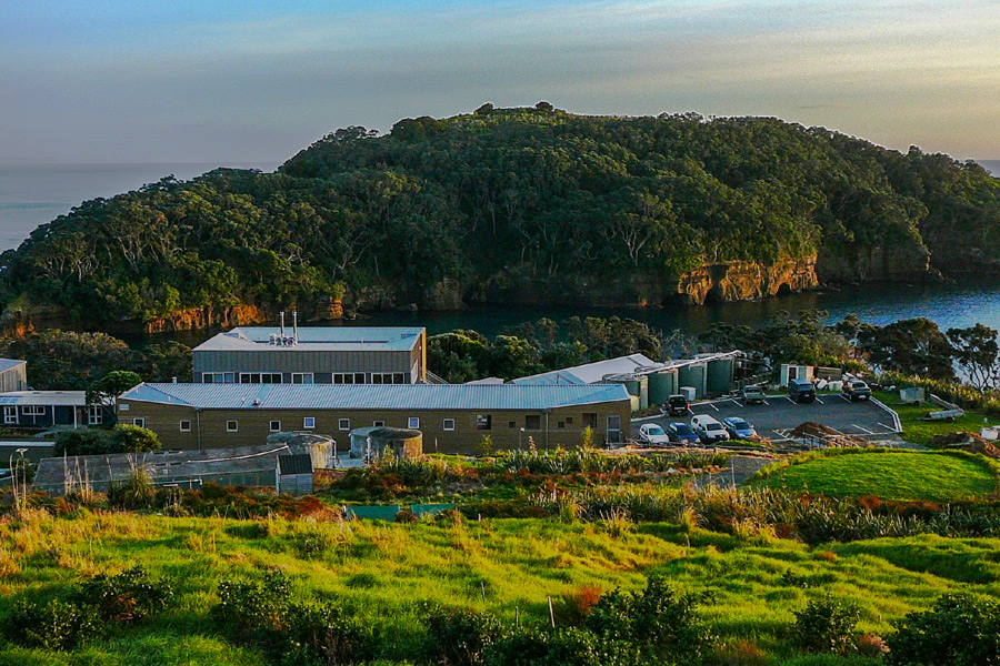 Marine Reserves Auckland