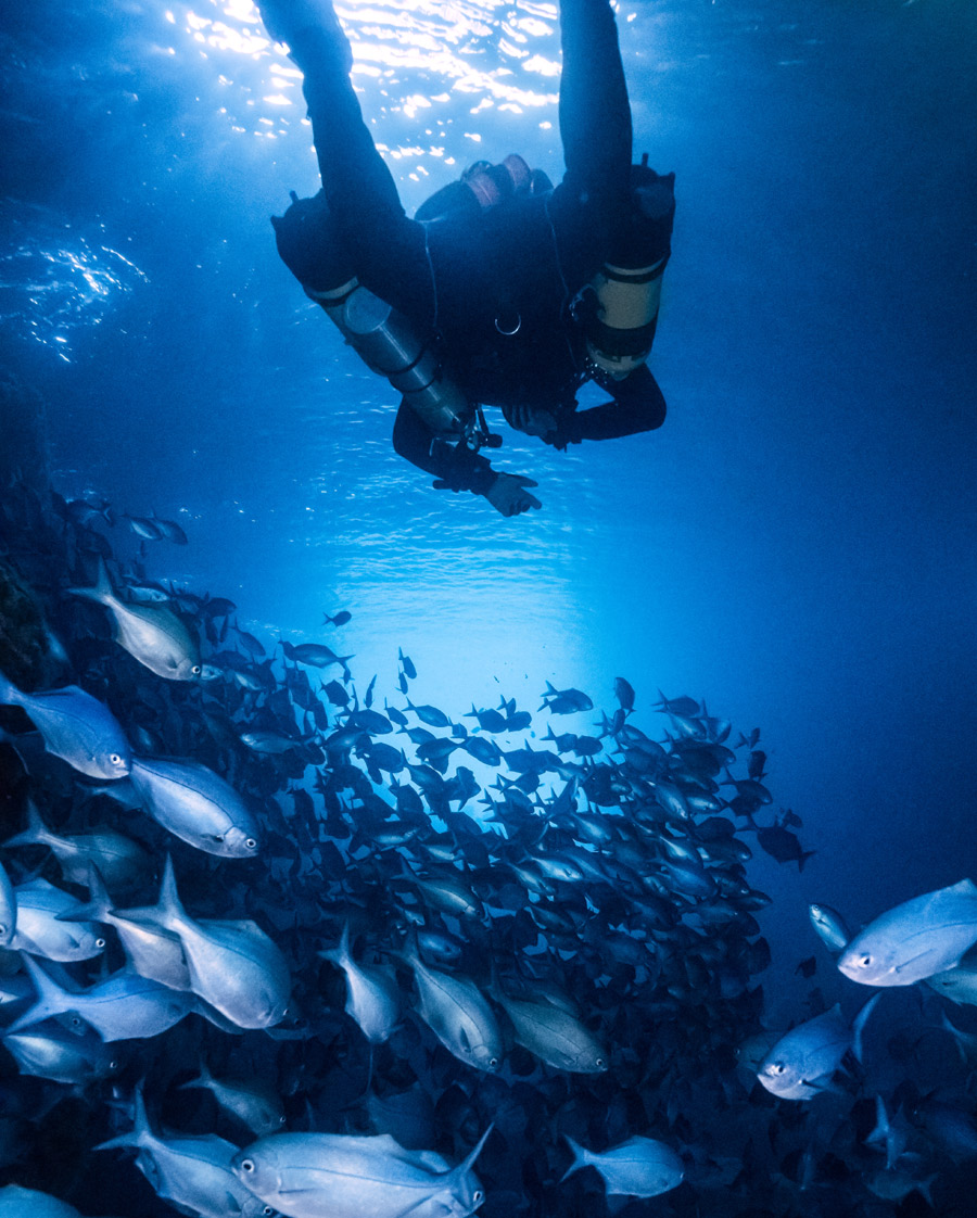 Marine Reserves & Fisheries Management - The Fishing Website