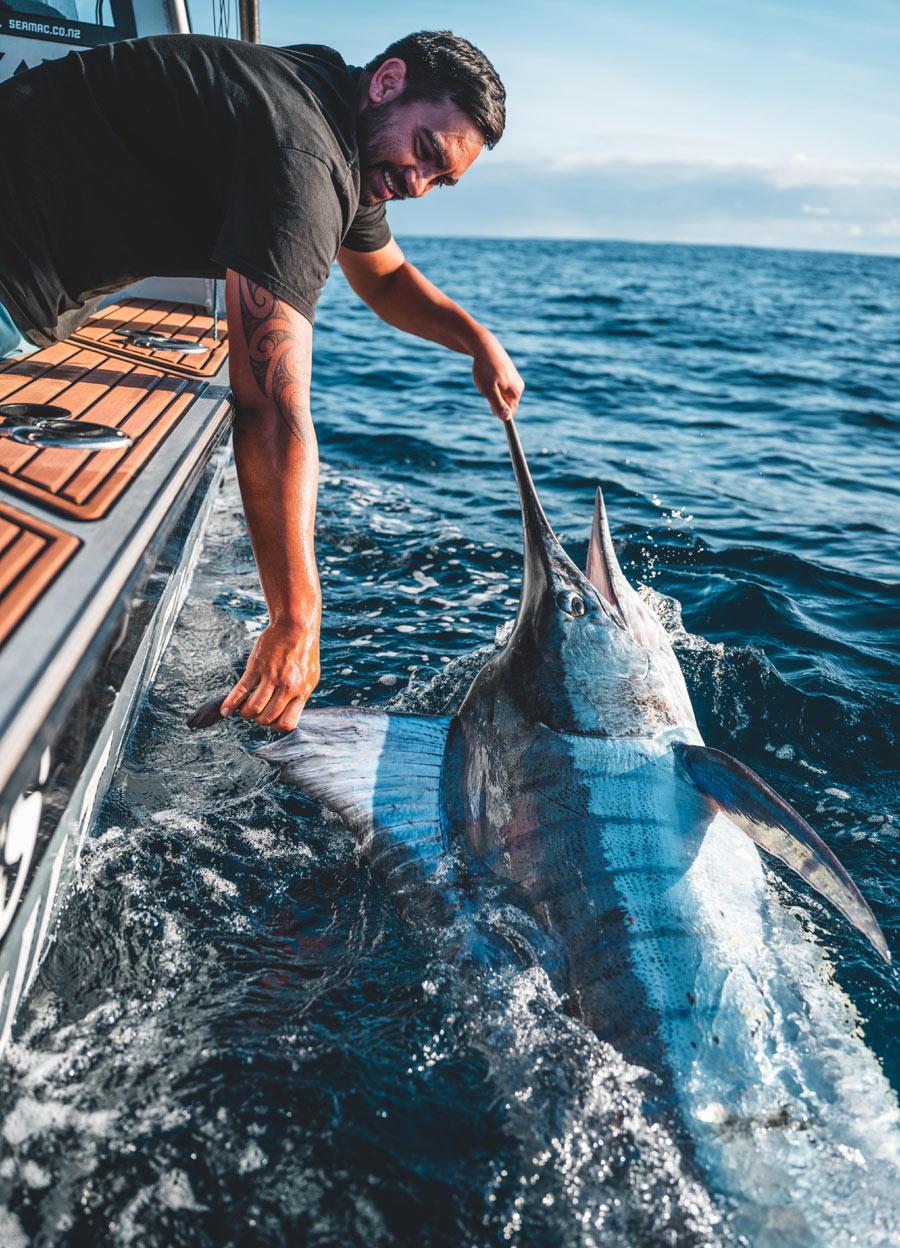 Gamefishing - Boat Setup and Lure Choice for Striped Marlin - The ...