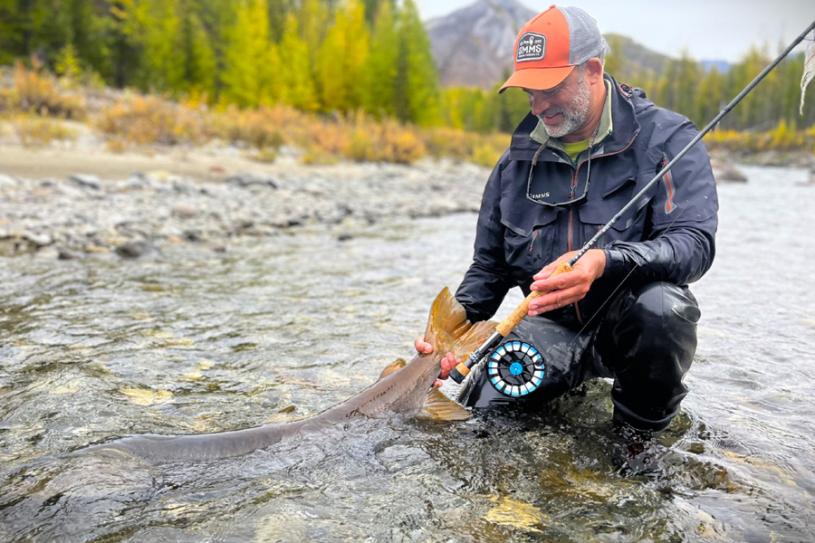 Fly Fishing for Taimen in Mongolia - The Fishing Website
