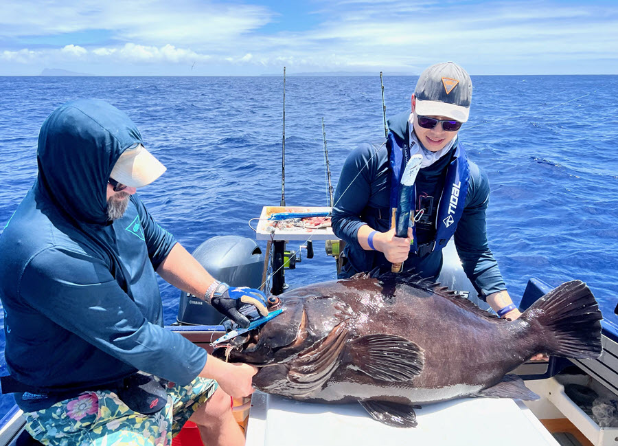 Norfolk Island Fishing Report - 09/02/23 - The Fishing Website