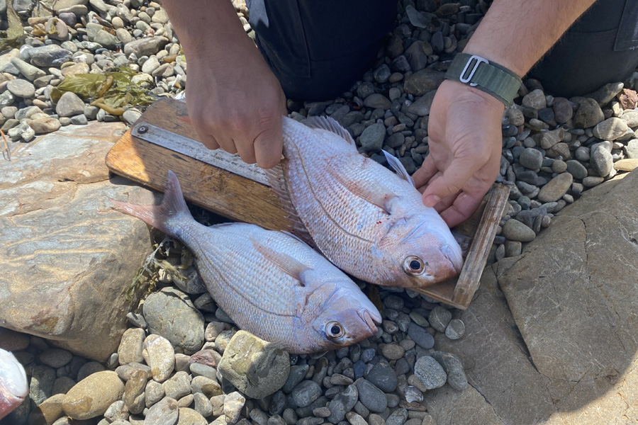 On Patrol with Fisheries Officers - The Fishing Website