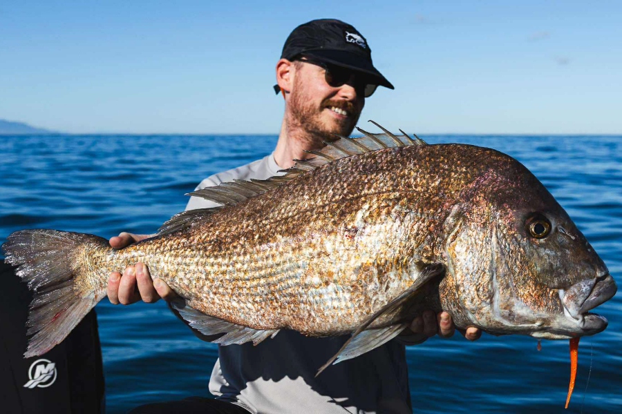 Outer Hauraki Gulf Fishing Report 27/06/25 - The Fishing Website