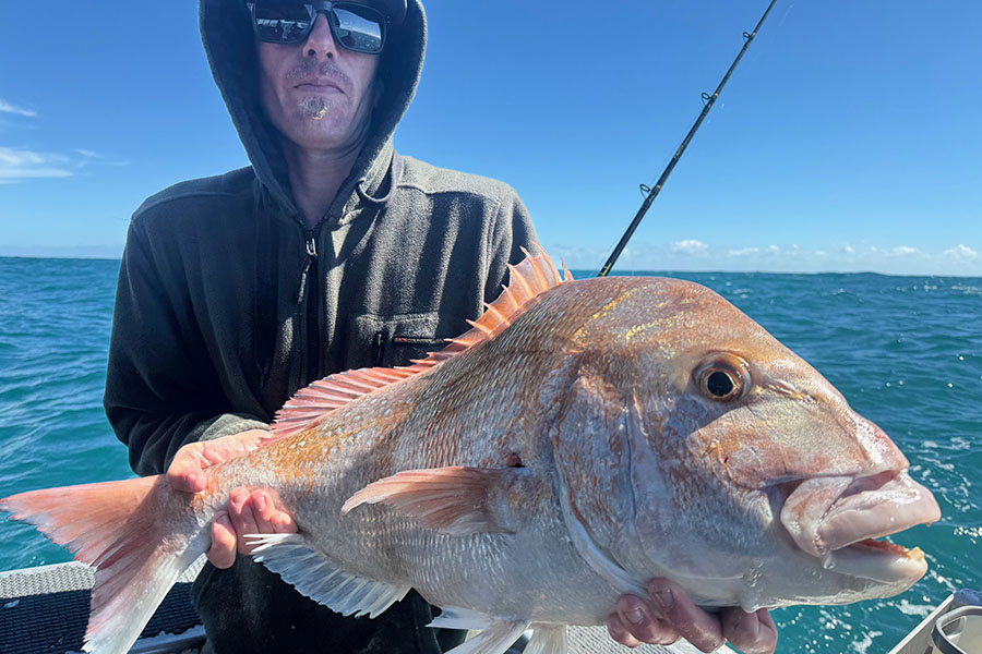 Raglan Fishing Report - 27/11/25 - The Fishing Website