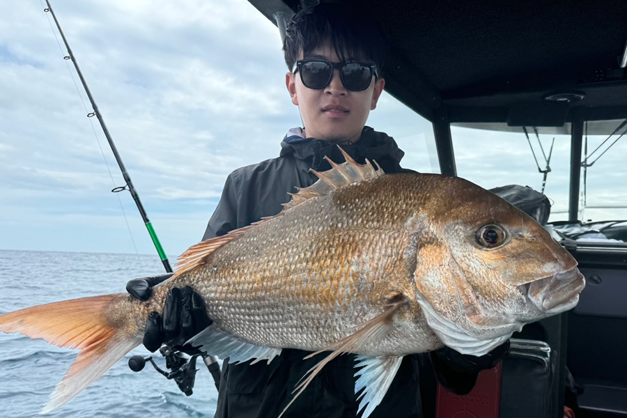 Raglan Fishing Report - 15/11/24 - The Fishing Website