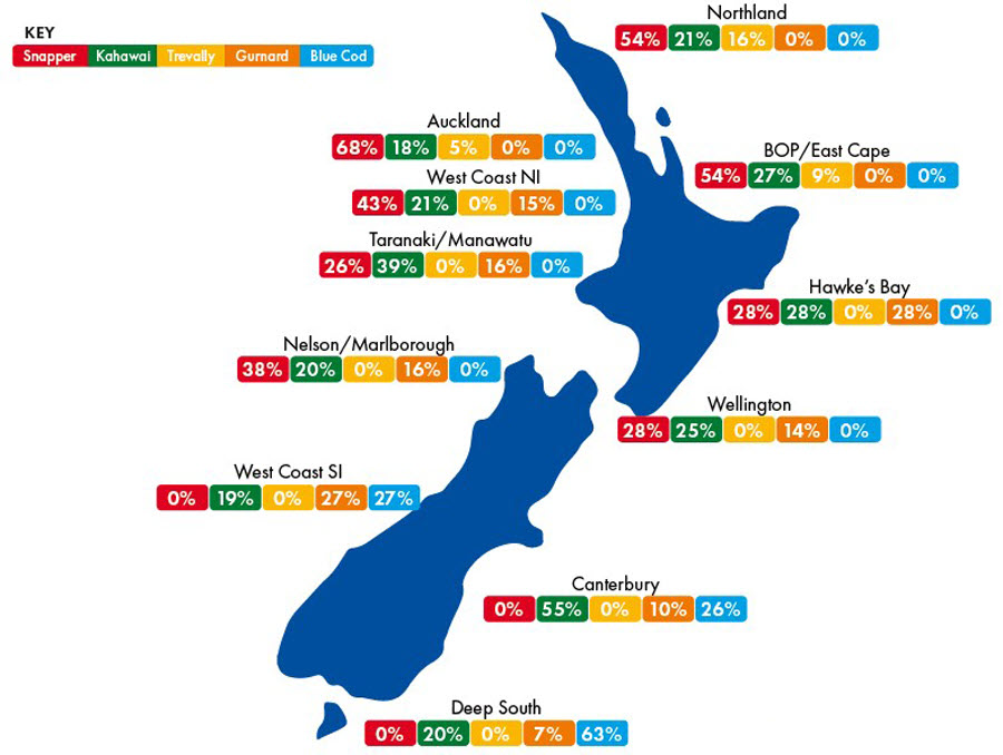 Fishing Heats Up in The Export NZ Fishing Competition - The Fishing Website