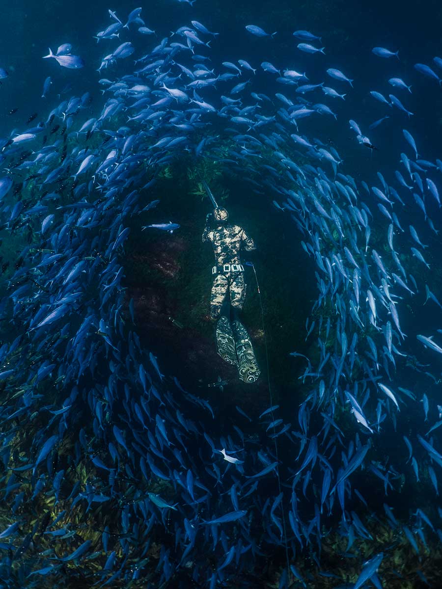 The Alderman Islands - The Fishing Website