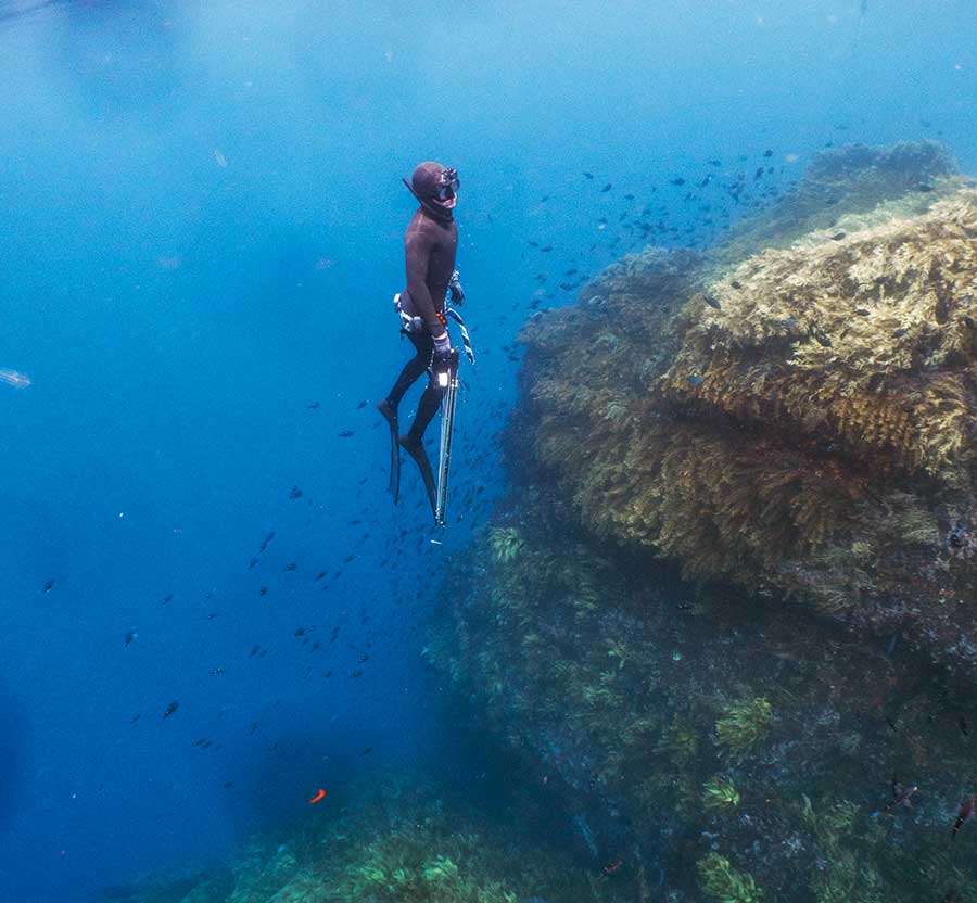 The Alderman Islands - The Fishing Website