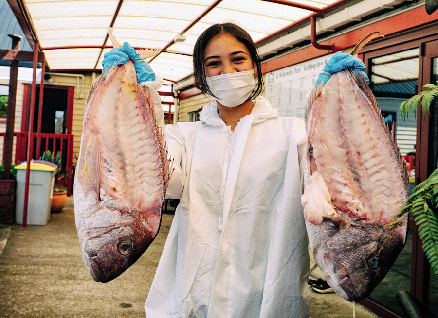 Using Fish Offcuts - The Fishing Website