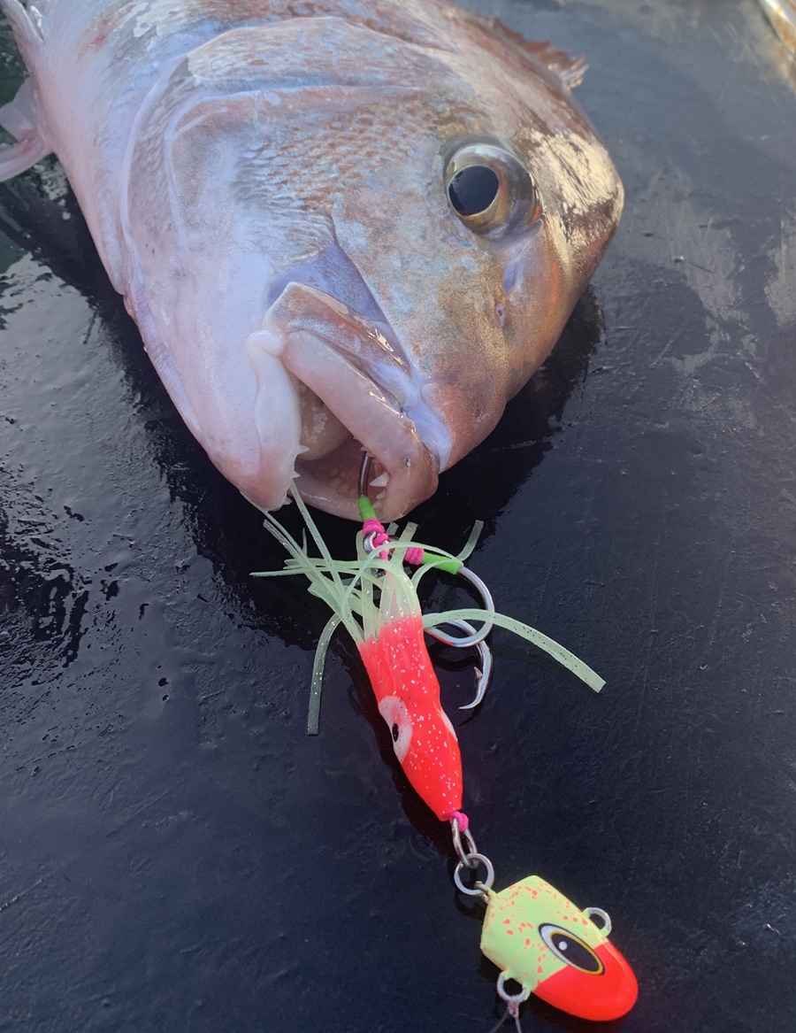 New Slow-pitch Jigs and Jigheads - The Fishing Website