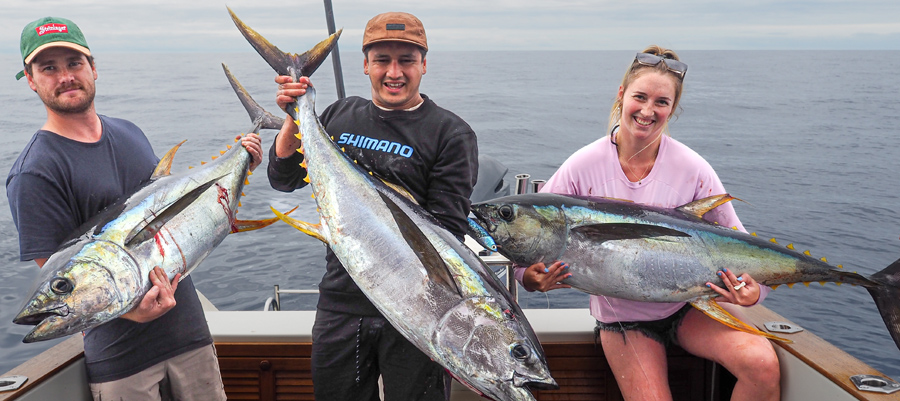 Northland Fishing Report - 26/12/24 - The Fishing Website
