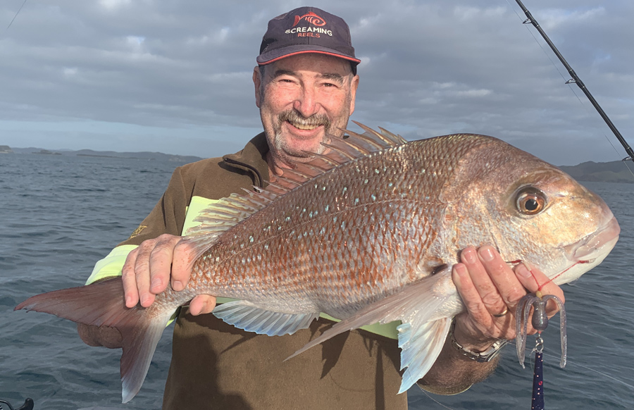Bay of Islands Fishing Report - 14/12/23 - The Fishing Website