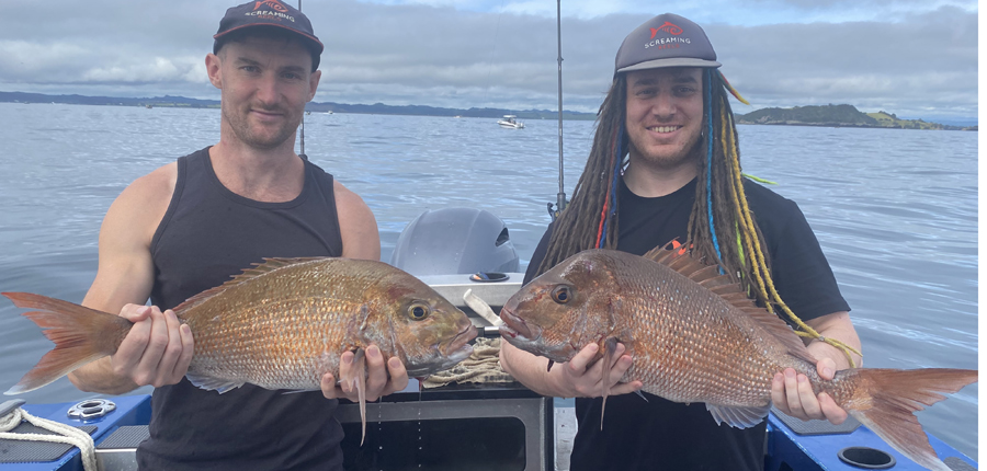 Bay of Islands Fishing Report - 11/01/24 - The Fishing Website
