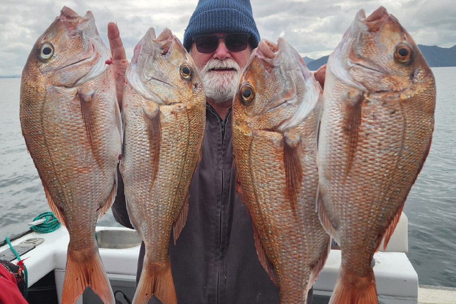 Bream Bay Fishing Report - 22/08/24 - The Fishing Website