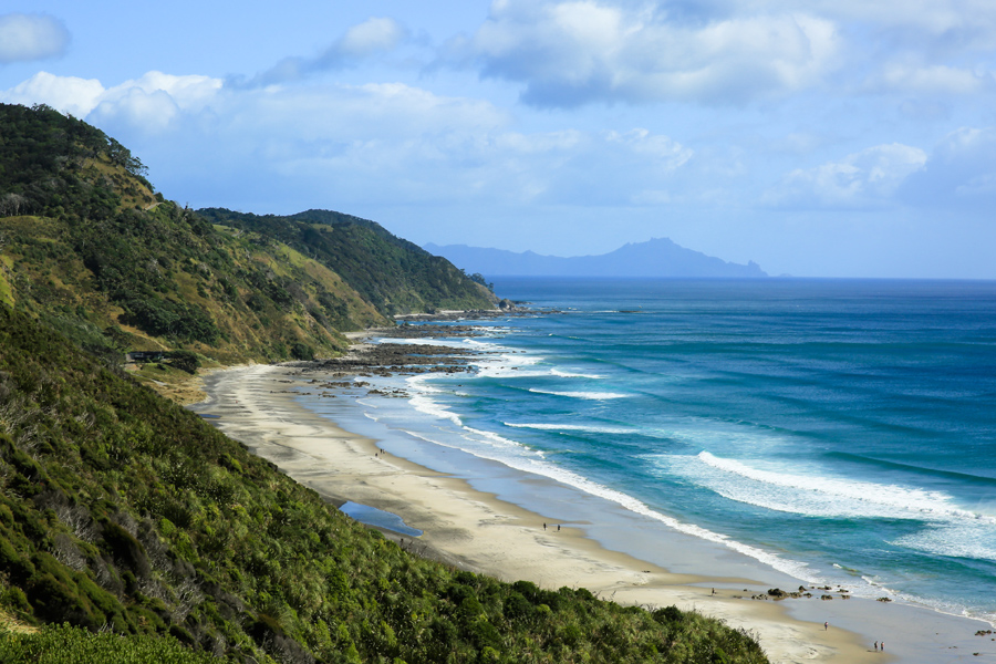 The Bream Bay Fishery - The Fishing Website