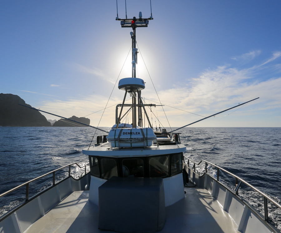 Thrills at the Three Kings - The Fishing Website