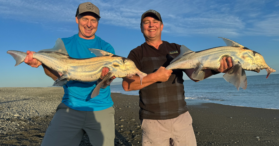 Canterbury Fishing Report - 14/12/23 - The Fishing Website