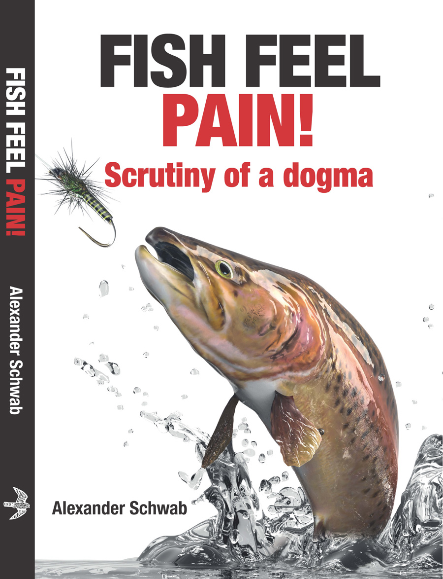 Do Fish Feel Pain? - The Fishing Website