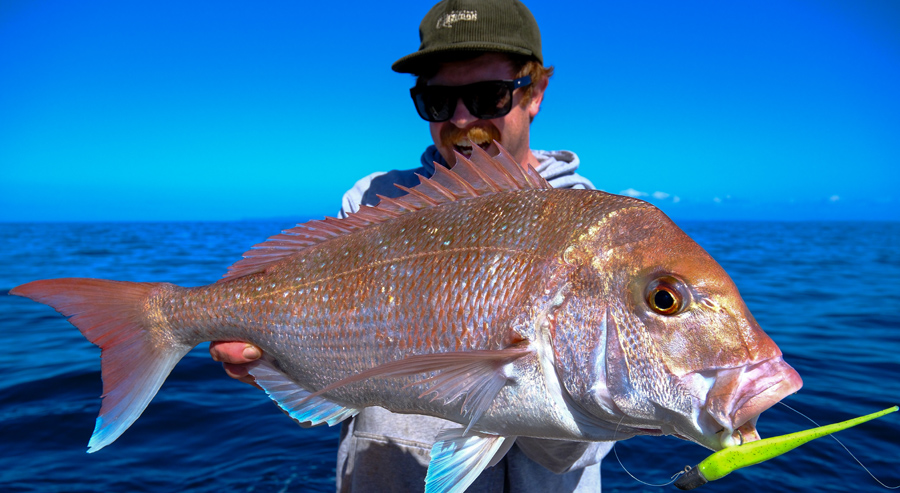 Fishbites - Synthetic Baits Attracting Fishes and Fishers - The Fishing ...