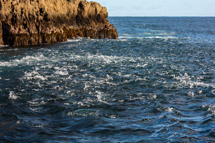 How to Catch Kahawai - The Fishing Website