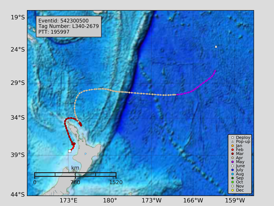 Great Marlin Race: Global Citizen Science - The Fishing Website