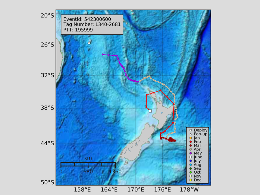 Great Marlin Race: Global Citizen Science - The Fishing Website