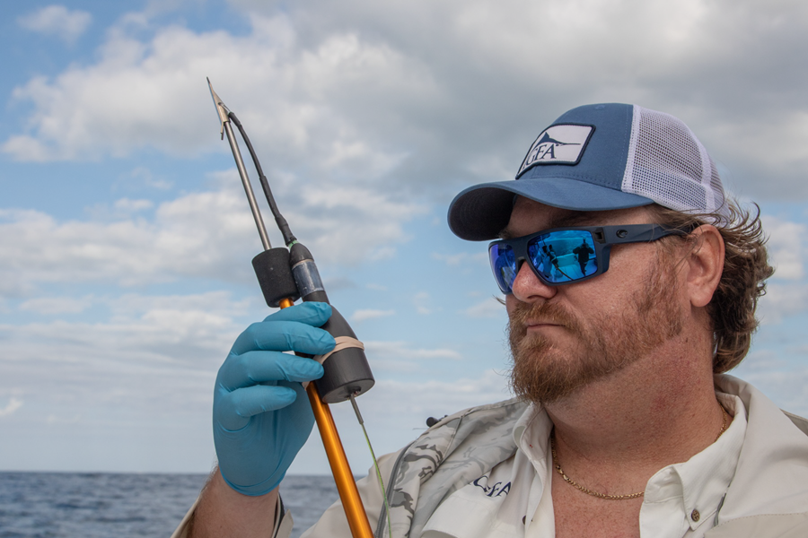 Great Marlin Race: Global Citizen Science - The Fishing Website