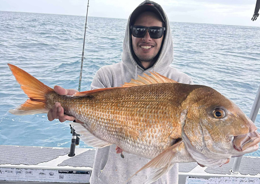 Raglan Fishing Report - 14/11/25 - The Fishing Website