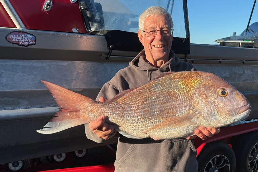 Raglan Fishing Report - 27/06/24 - The Fishing Website