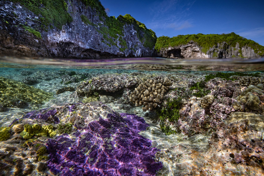 Niue: A Leader in Ocean Sustainability - The Fishing Website