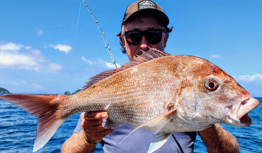 Whangarei / Bream Bay Fishing Report - 07/03/24 - The Fishing Website
