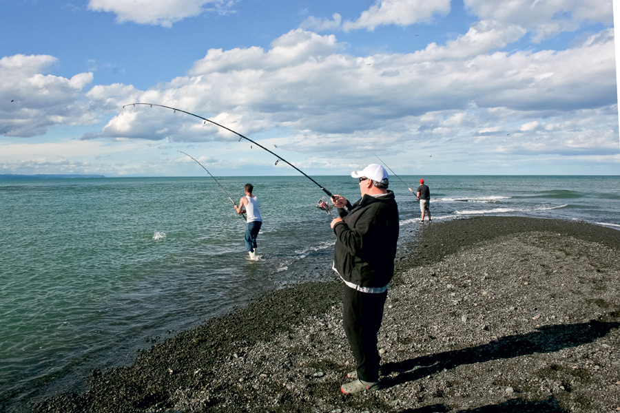 How to catch Kahawai - The Fishing Website