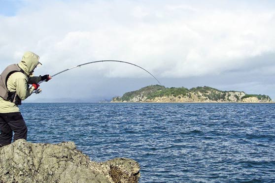 Successful stray-lining from the shore - The Fishing Website